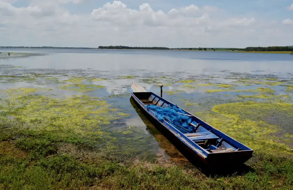 ¡Descubre los mejores tipos de botes pequeños! ¡Fotos, características ...